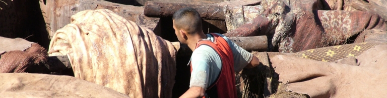 IFC Performance Standard 2 - Innovativkonzept